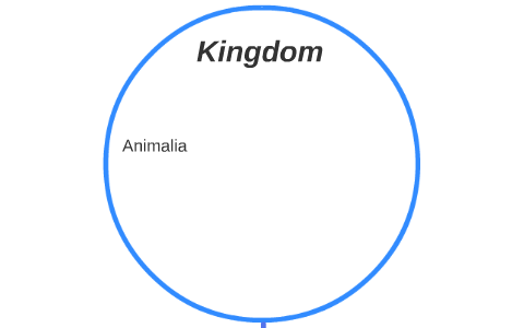 Insect Taxonomy Chart and Cladogram by Gina Abascal on Prezi