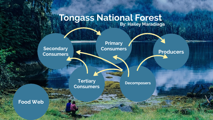 Tongass National Forest by Hailey Maradiaga on Prezi