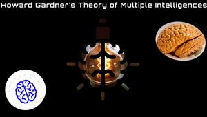 Howard Gardner's Theory of Multiple Intelligences by Emily Freundlich ...