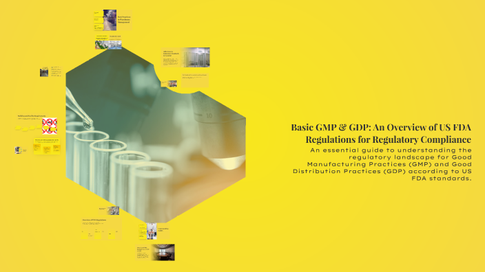 Basic GMP & GDP: An Overview of US FDA Regulations for Regulatory ...