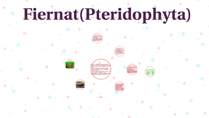Fiernat(Pteridophyta) by altina gashi on Prezi