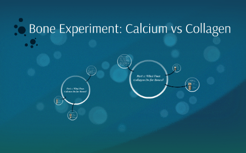 Bone Experiment: Calcium vs Collagen by Renee Semple on Prezi