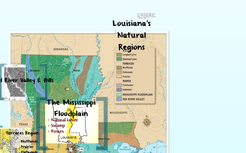 Louisiana's Natural Regions by Veronica LeGrange on Prezi
