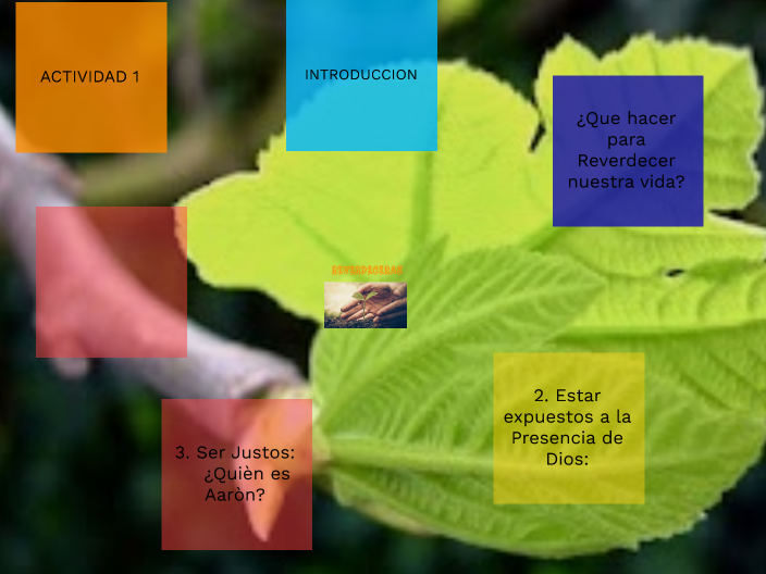 Reverdeceras by JESUS ANAYA on Prezi