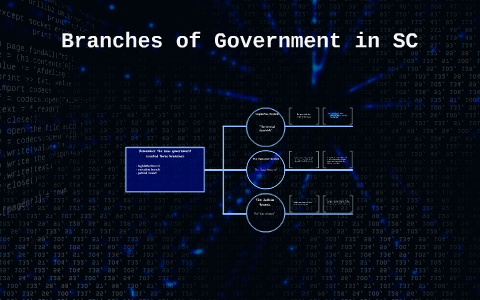 Branches of Government in SC by Kasie Granner on Prezi