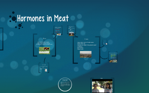 Homones in Meat by Jeffrey La on Prezi