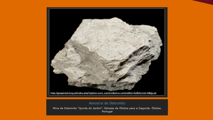 Diatomitos by Rute Pires on Prezi