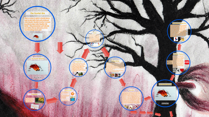 The Scarlet Ibis Presetation by Aiden Bateman on Prezi