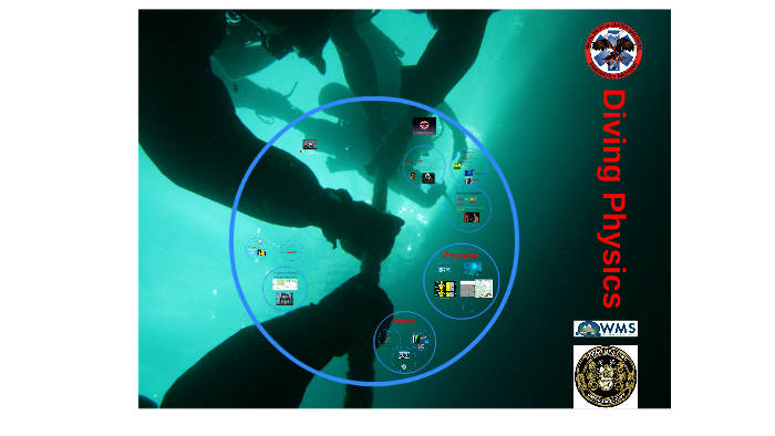 Physics and Physiology of Diving by Tom Murphy on Prezi Next
