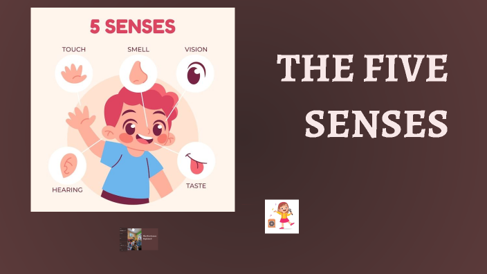 Discovering the Five Senses Through Interactive Fun by Jeremy Jairo ...