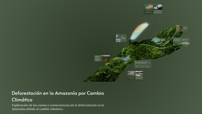 Deforestación en la Amazonía por Cambio Climático by Robert samit ...