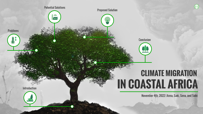 IRR TMP Mock by Sena Chang on Prezi