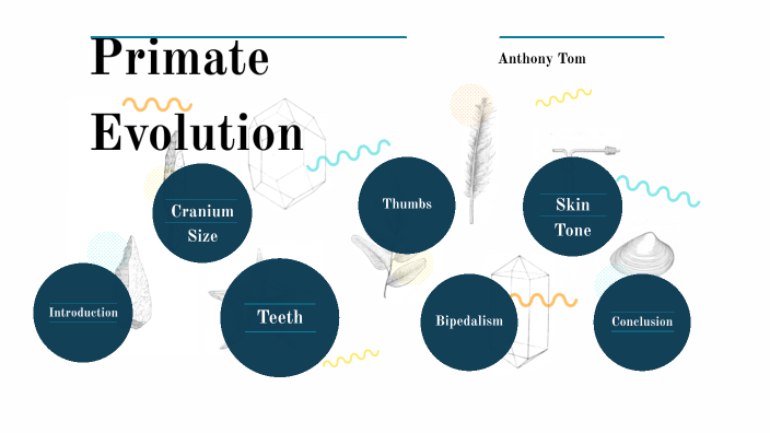 Evolution of traits by Anthony Tom on Prezi