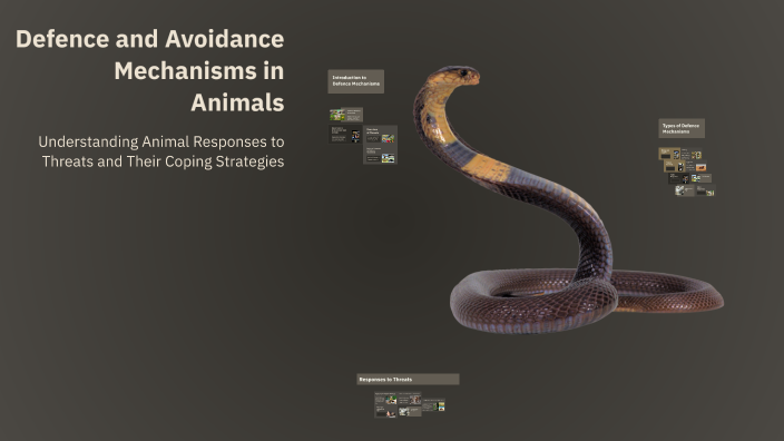 Defence and Avoidance Mechanisms in Animals by choice imprint on Prezi
