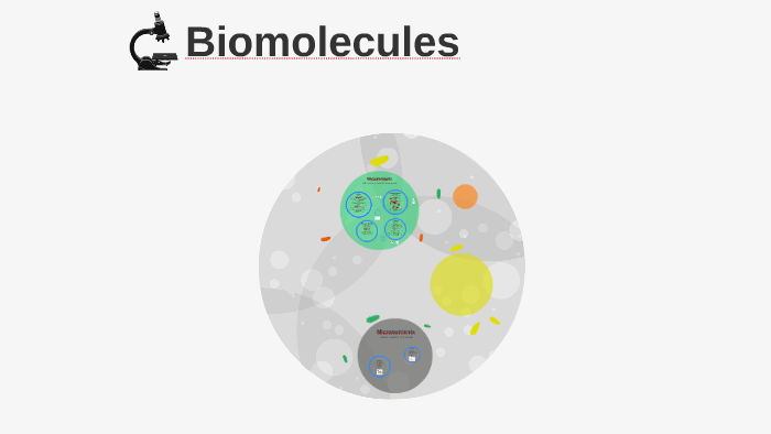 Biomolecules by Logan Whitmore