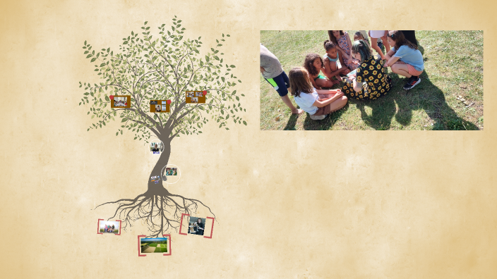 Identity Tree by Elisa on Prezi