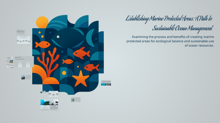 Establishing Marine Protected Areas: A Path to Sustainable Ocean ...