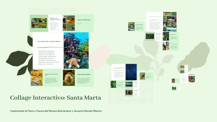 Collage Interactivo: Santa Marta by SrPijama chaclaca on Prezi