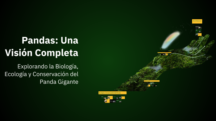 Pandas: Una Visión Completa by Cedrick Carlos Cortéz Díaz on Prezi