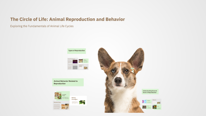 The Circle of Life: Animal Reproduction and Behavior by José Avilés on ...