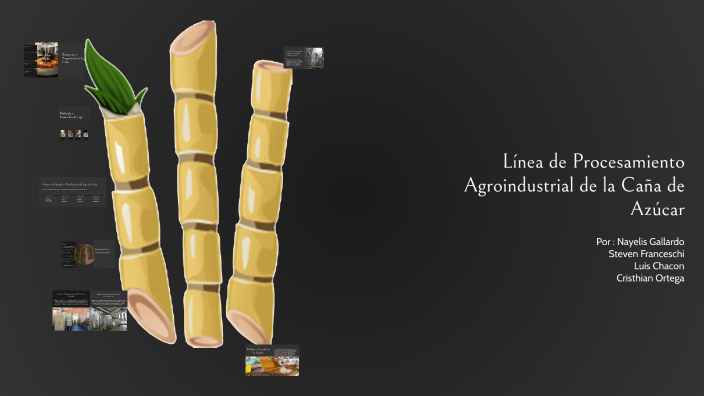 Línea de Procesamiento Agroindustrial de la Caña de Azúcar by steven ...
