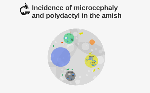 Incidence of microcephaly and polydactyl in the amish by callum platt ...