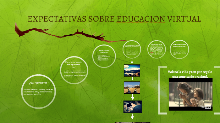 EXPECTATIVAS SOBRE EDUCACION VIRTUAL by alexander serna on Prezi
