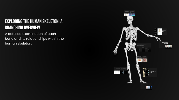 Exploring the Human Skeleton: A Branching Overview by mathea lol on Prezi