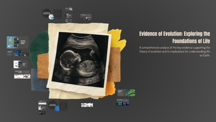 Evidence of Evolution: Exploring the Foundations of Life by justme ...