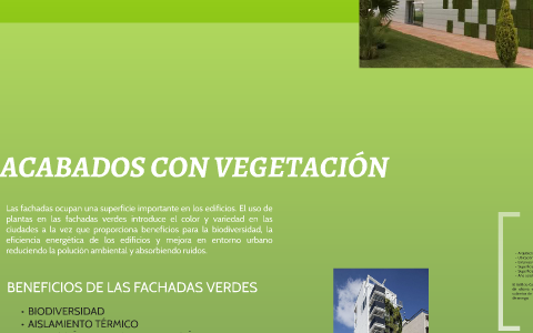 ACABADOS CON VEGETACIÓN by Mahovi Merida on Prezi