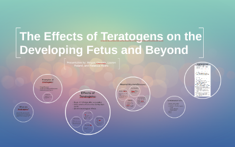 The Effects of Teratogens on the Developing Fetus and Beyond by Lauren ...