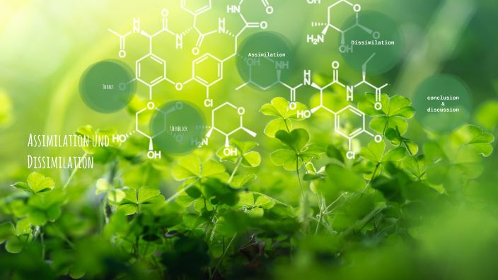 Assimilation und Dissimilation by Amelie Brazdil on Prezi