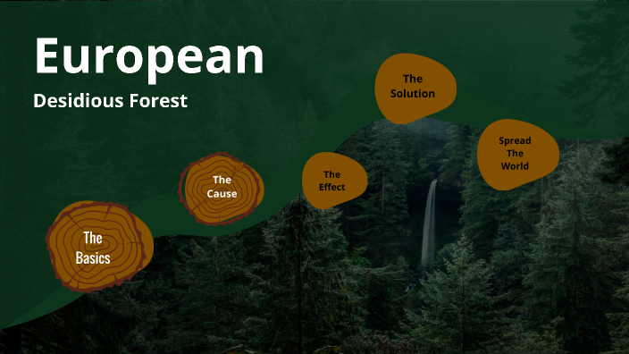 European Desidious Forest by Ramin Knittel on Prezi