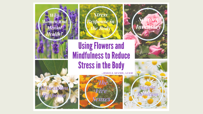 Using Flowers and Mindfulness to Reduce Stress in the Body: by jessica ...