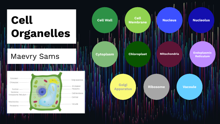 Cell Choice Board - Sams by Maevry Sams on Prezi