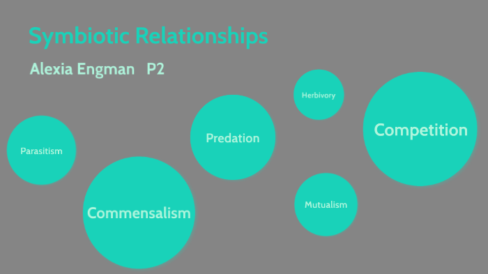 Symbiotic Relationships by Alexia Engman on Prezi