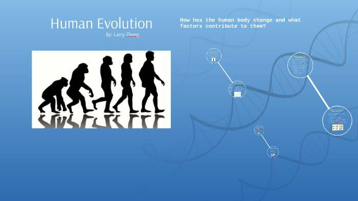 Human Evolution by Larry Zheng on Prezi