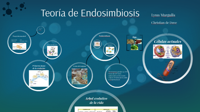 Teoria de Endosimbiosis by Florencia Hwang