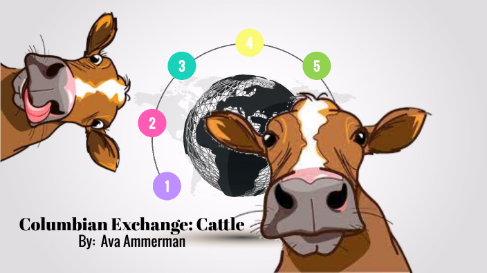 Columbian Exchange: Cattle by Ava Ammerman on Prezi