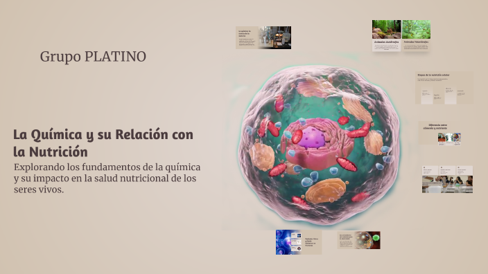 La Química y su Relación con la Nutrición by Isaac Paye on Prezi