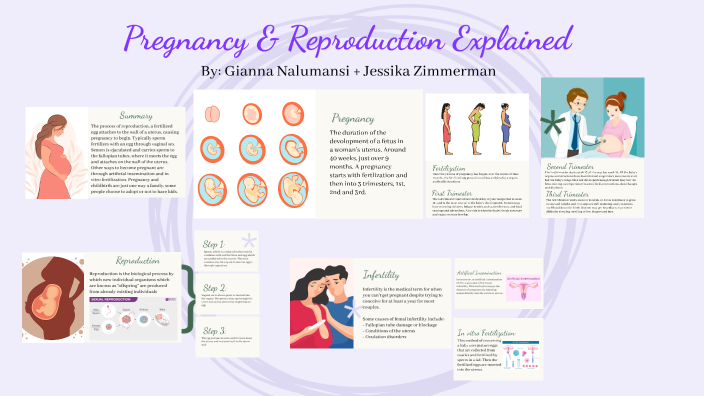 Pregnancy & Reproduction Explained by JESSIKA ZIMMERMAN on Prezi