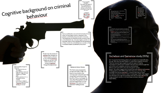 Cognitive background on criminal behaviour by Joanna Rajska