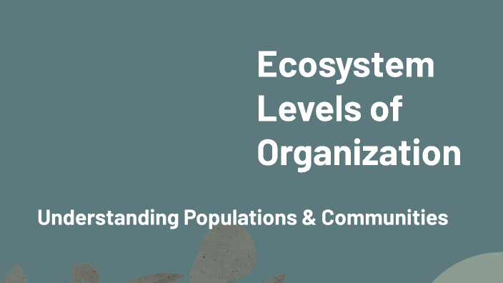 Ecosystem Levels of Organization by Kathleen Gallagher on Prezi