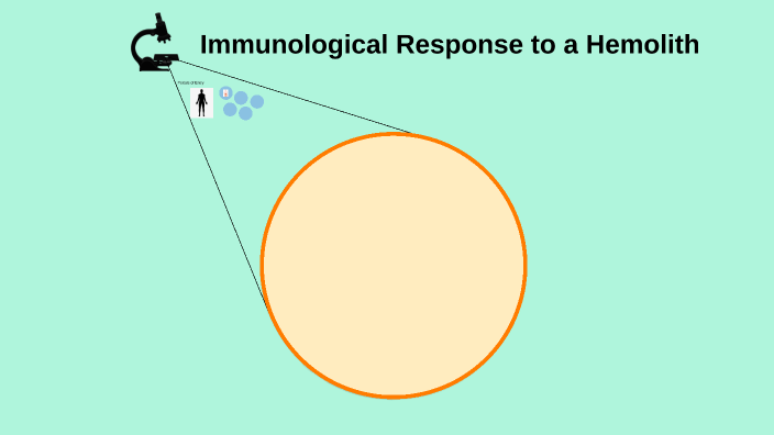 Immuno Response to Hemolith by Sarah Norris on Prezi