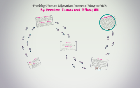 Tracking Human Migration Patterns Using mtDNA by Anneliese Thomas on Prezi