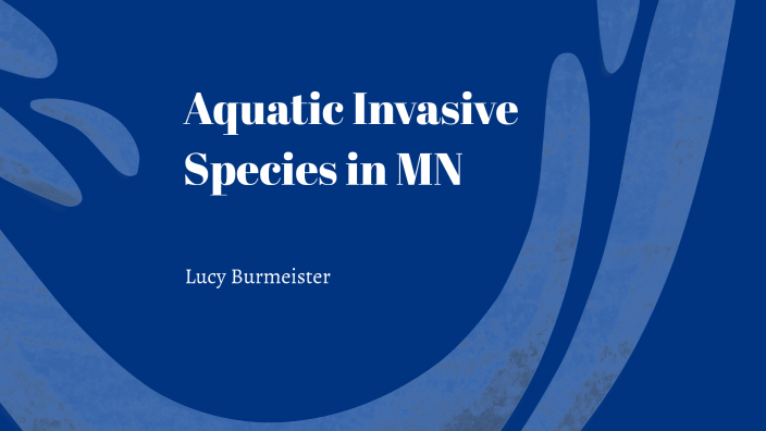 Aquatic Invasive Species in MN by Lucy Burmeister on Prezi
