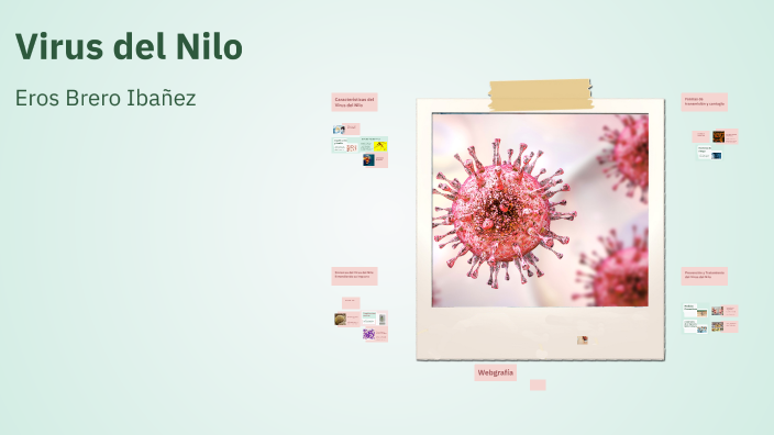 Virus del Nilo by Eros Brero Ibáñez on Prezi