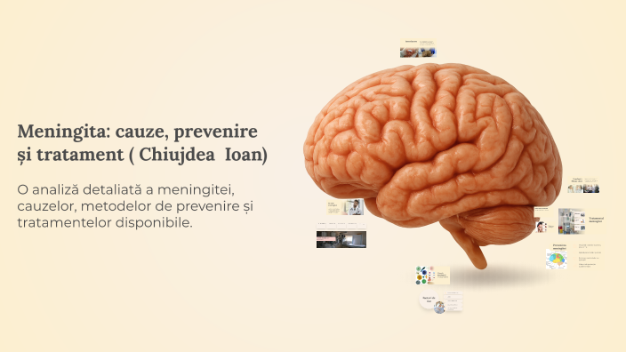 Meningita: cauze, prevenire și tratament by Nicuta Chiujdea on Prezi