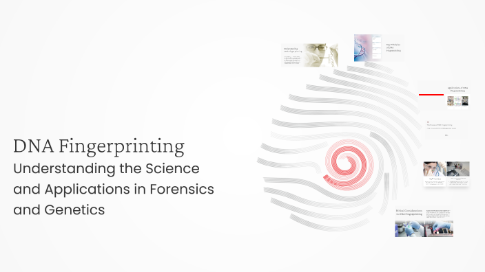 DNA Fingerprinting by rao on Prezi