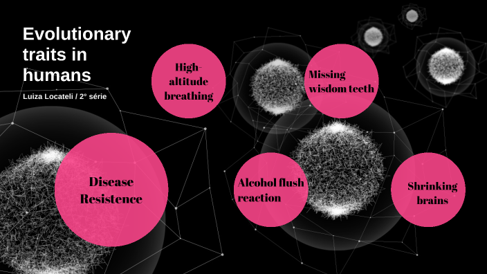 Human Evolution traits by Luiza Bellotti on Prezi